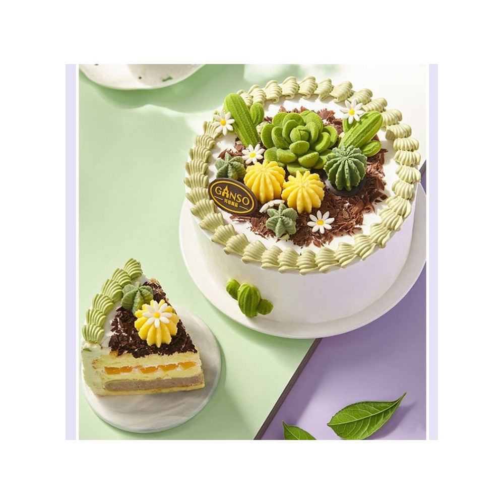 [Ganso Shop] Desert Cactus Cream Pudding Fruits Birthday Cake