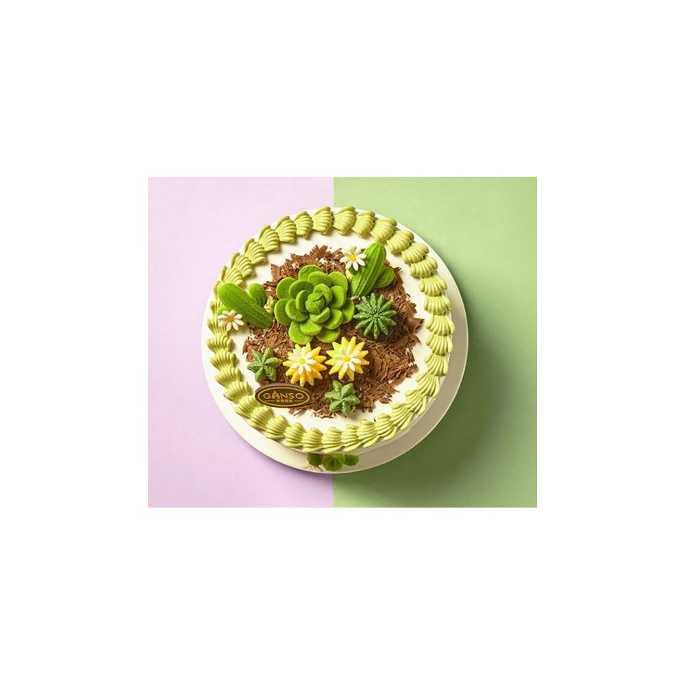 [Ganso Shop] Desert Cactus Cream Pudding Fruits Birthday Cake